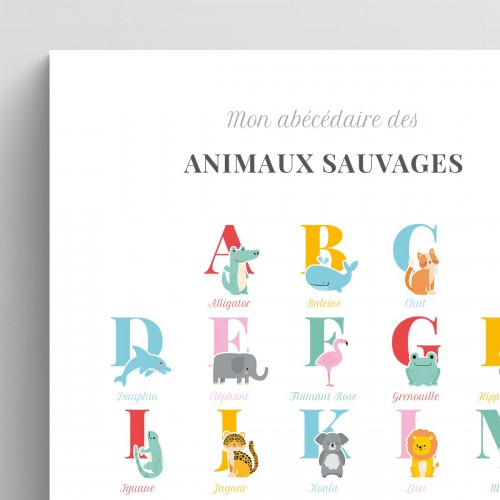 Affiche abécédaire animaux sauvages alignés