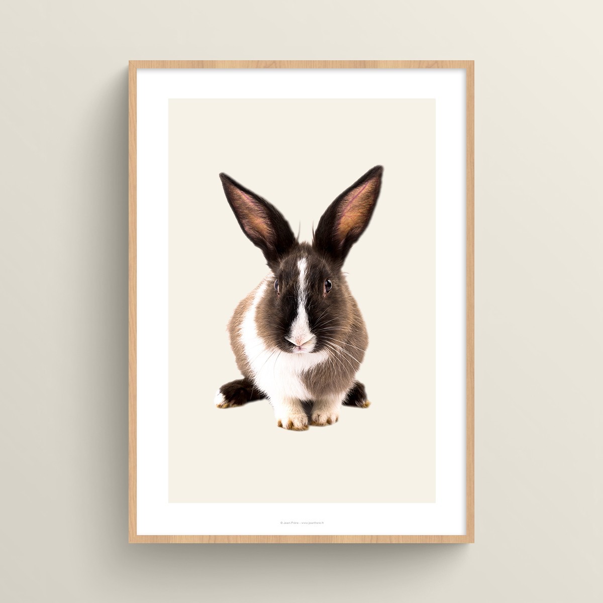 Affiches et posters Animaux